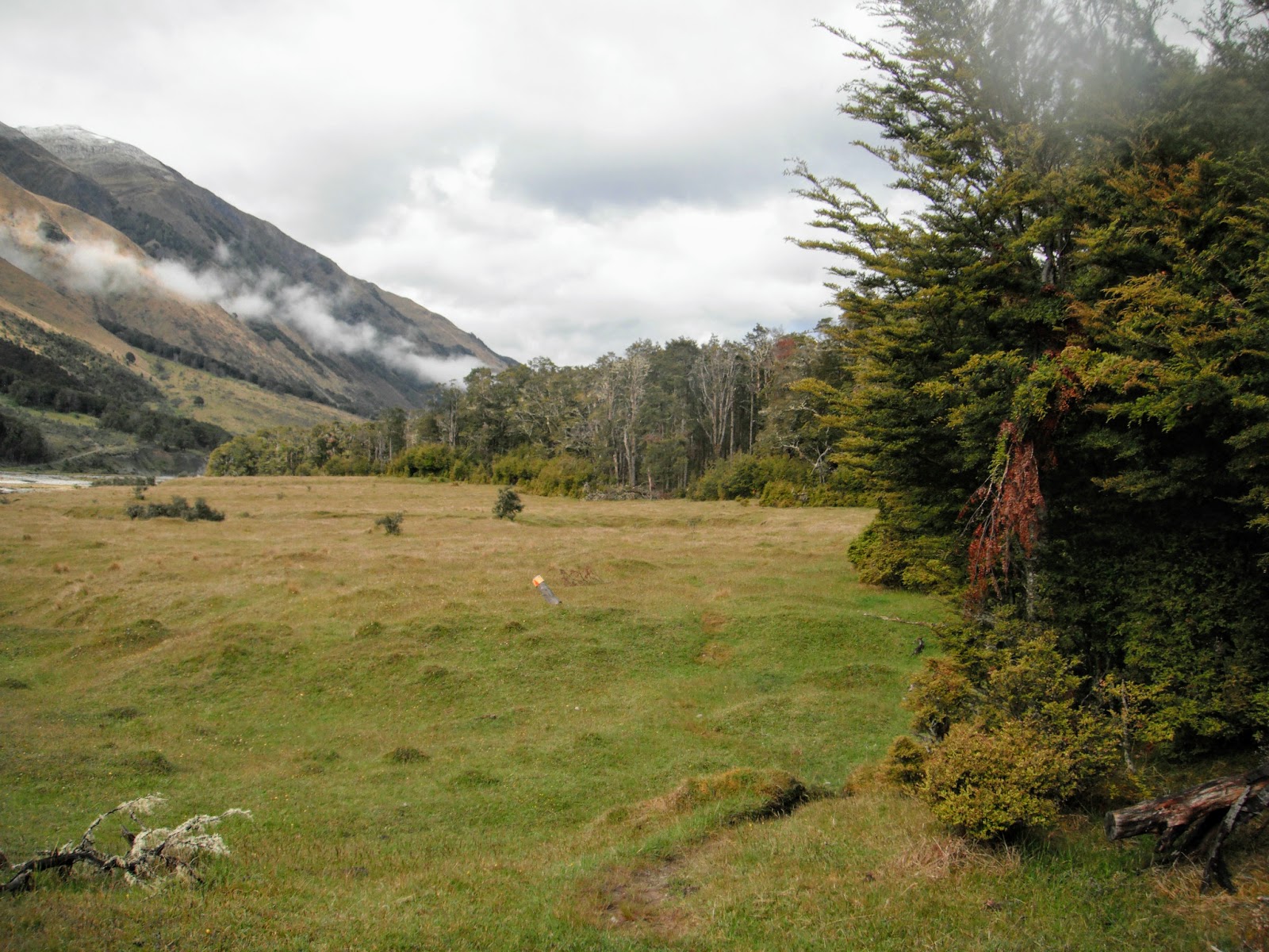 Tramping in the New Zealand backcountry: NZ Bush Adventures: Boyle ...