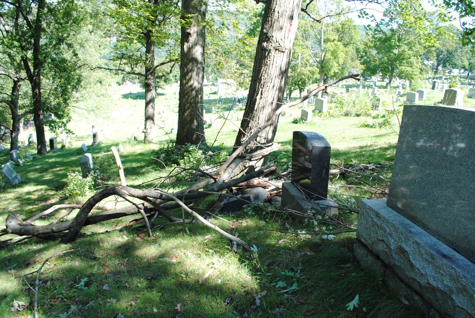 Persing & Bieda Family History: Shamokin Cemetery