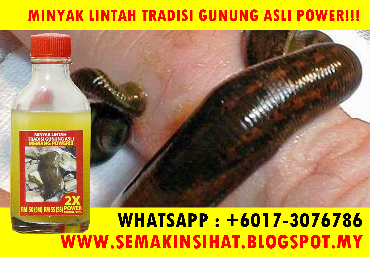 PEMBEKAL MINYAK LINTAH TRADISI GUNUNG ASLI : MINYAK LINTAH ORIGINA ...