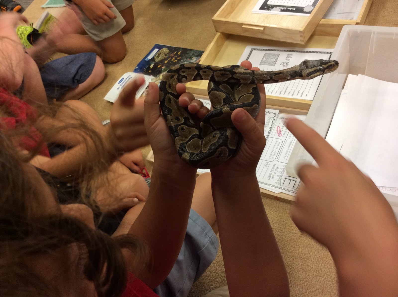 Creativity Laboratory- Art in Montessori