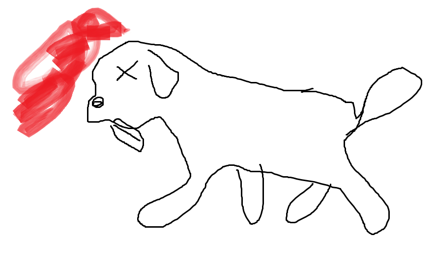 Perro muerto - Imagui