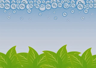 Benefits Of Breathing Pure Air | Healthy Tactic