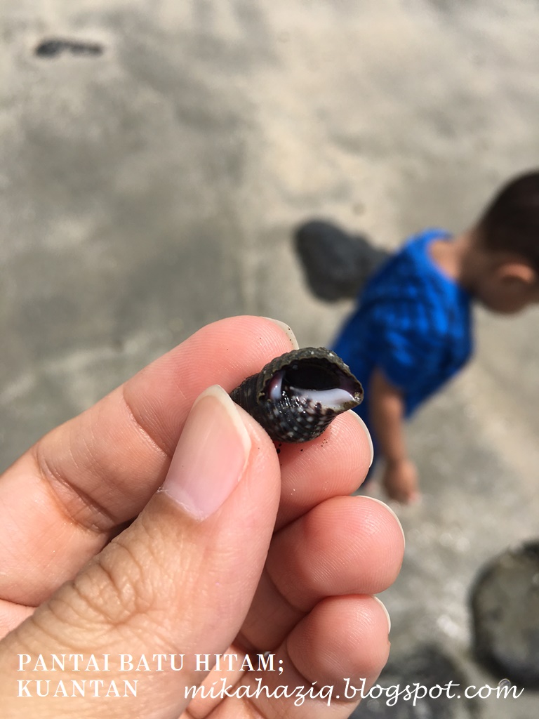 mikahaziq: Kuantan With Kids : Why you should visit Batu Hitam Beach