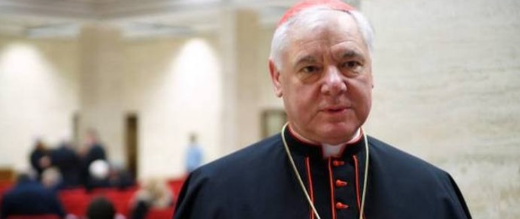 The Eponymous Flower: Cardinal Müller:"I did not like the praise of the ...