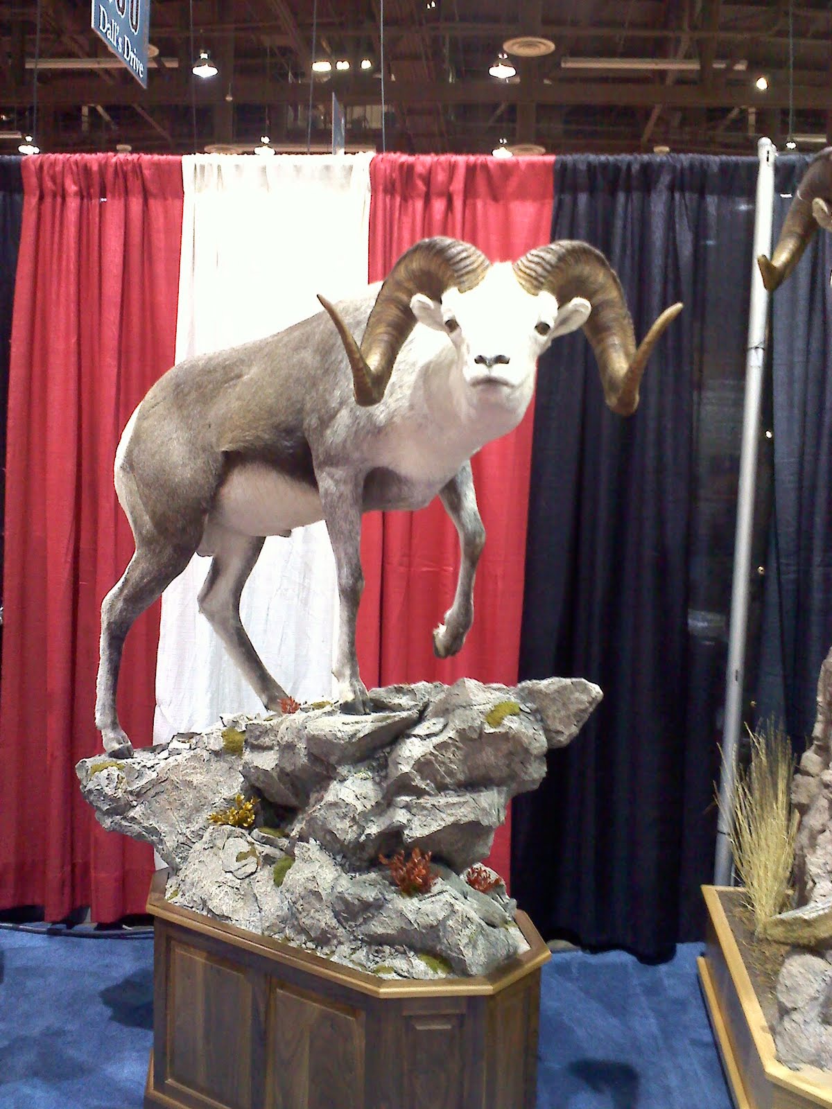 High Desert Outfitters: WSF Convention / stone sheep mount