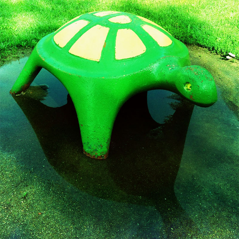Grandma Slump: My Report on Playground Turtles