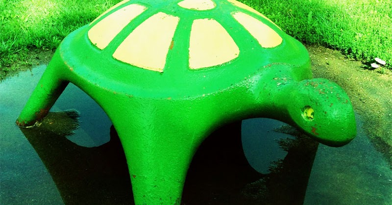 Grandma Slump: My Report on Playground Turtles