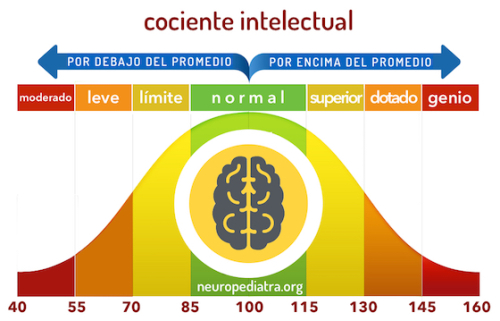 Inteligencia Integral en todos los niveles: Coeficiente Intelectual (IQ)