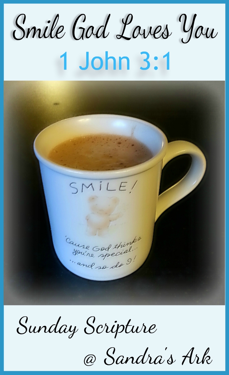 Sandra's Ark: Smile God Loves YOU! 1 John 3:1 - Sunday Scripture