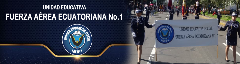 Unidad Educativa FAE No.1: Encuesta 5to Básica