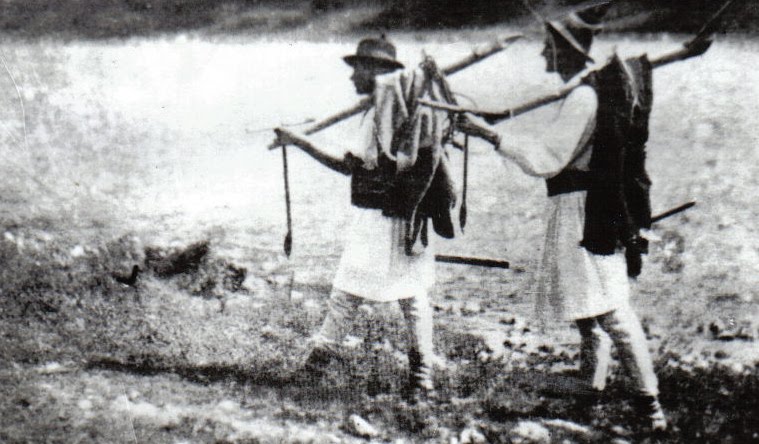 FOTOGRAFIA ZILEI - ORASUL BROSTENI