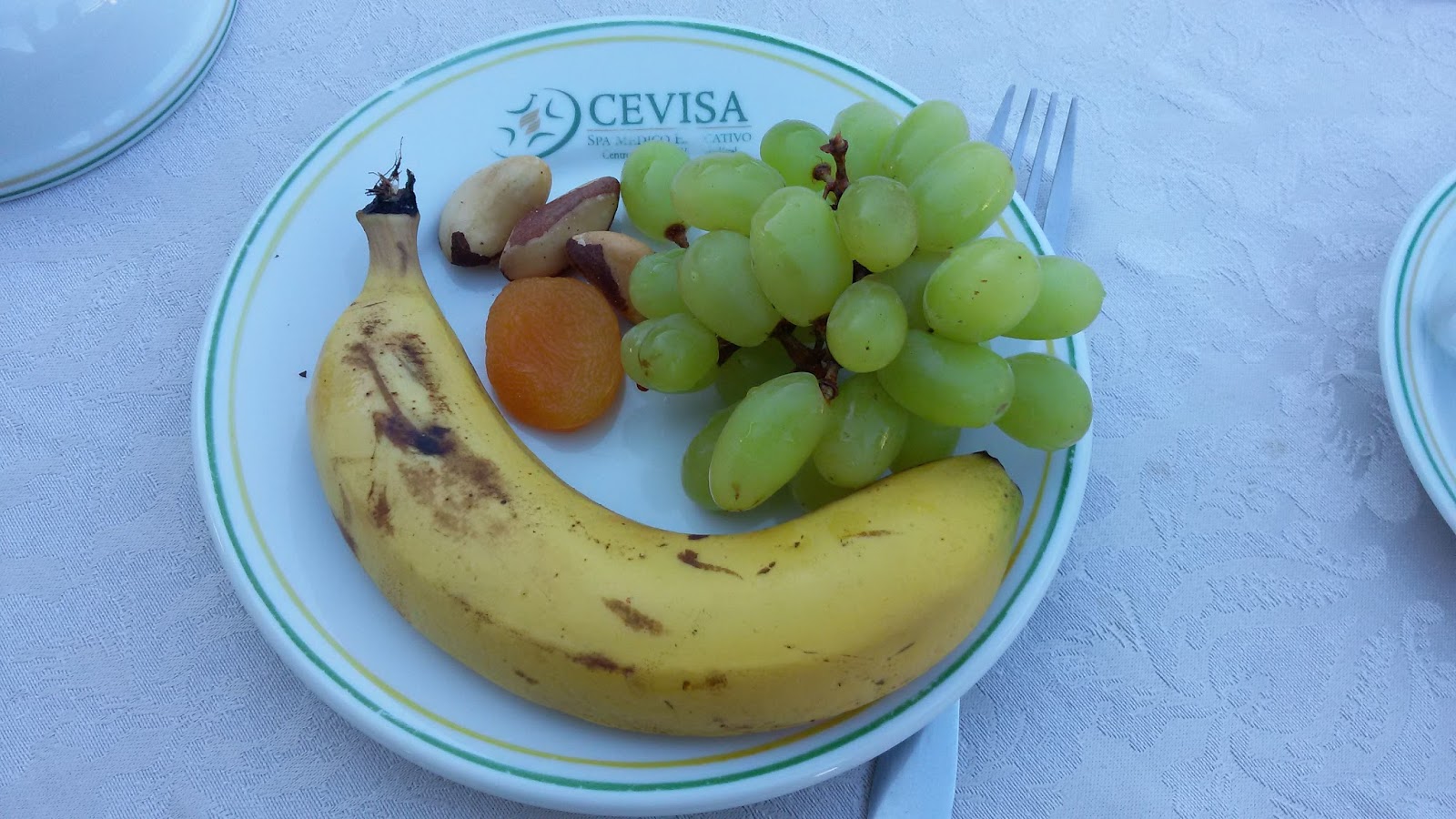 Minha Experiência no CEVISA | Naturebices da Elen