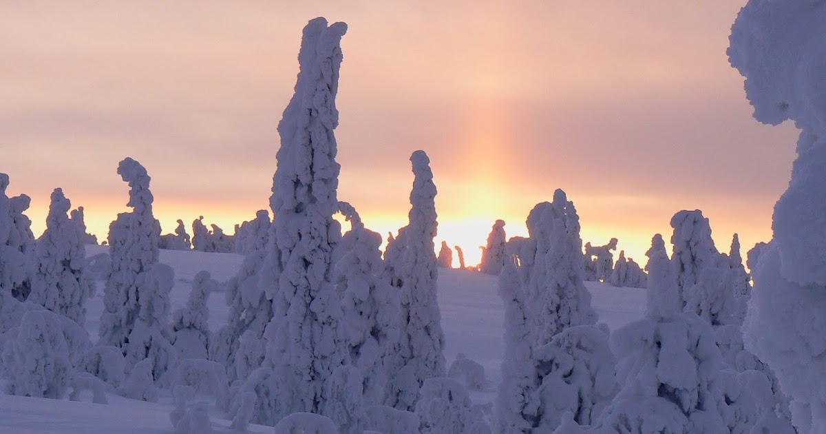 The Memory Wanderer: Lapland