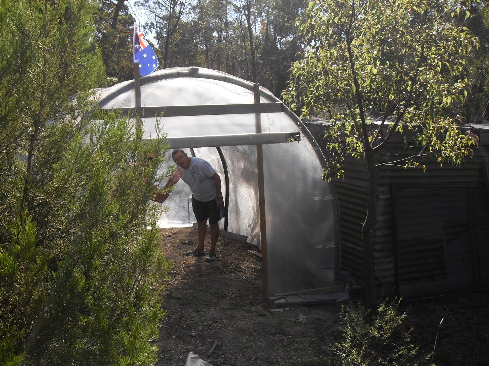 Crafty Carols Crafty Adventures: Make your own hot house