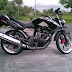 Honda Tiger Ceper Modif
