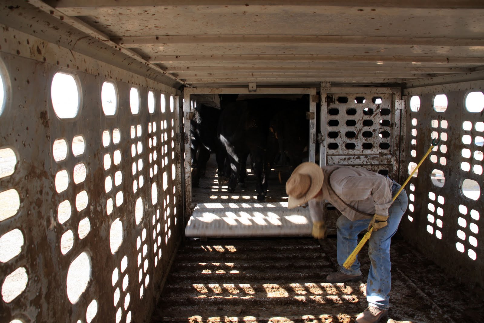 Double H Photography: Loading a Cattlepot