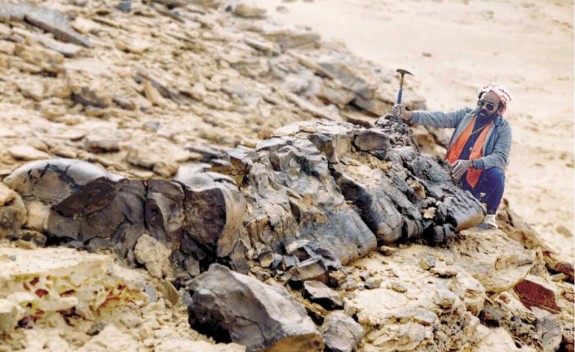 PALAEOBLOG: When Giant Mushrooms Ruled The Earth