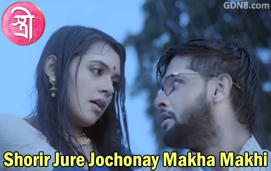 Shorir Jure Jochonay Makha Makhi - Stree Serial Song - gdn8.com