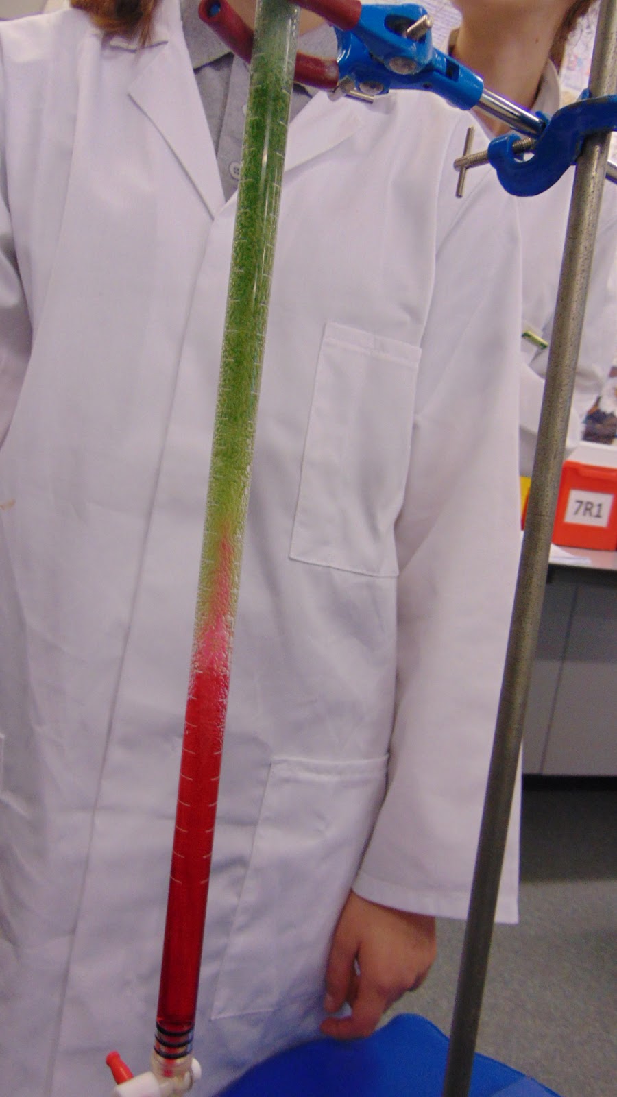The Smarties Science Club: Rainbow fizz