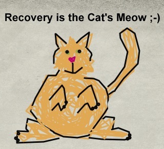 Actively Arielle: A Voice With A Commitment: Arielle's Recovery Cats