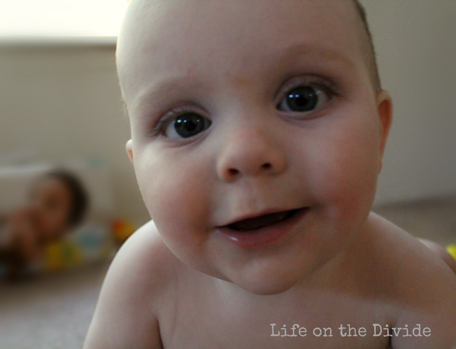 My Life on the Divide: How to Make a Sippy Cup