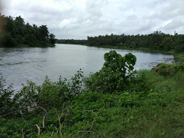 mullassery kanal - kannankad