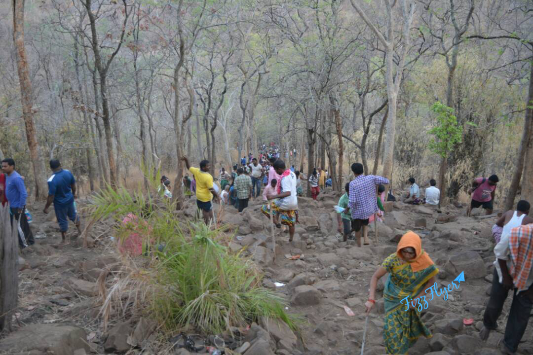 My journey and experiences of Mysterious Saleshwaram Temple ll Nallamala...