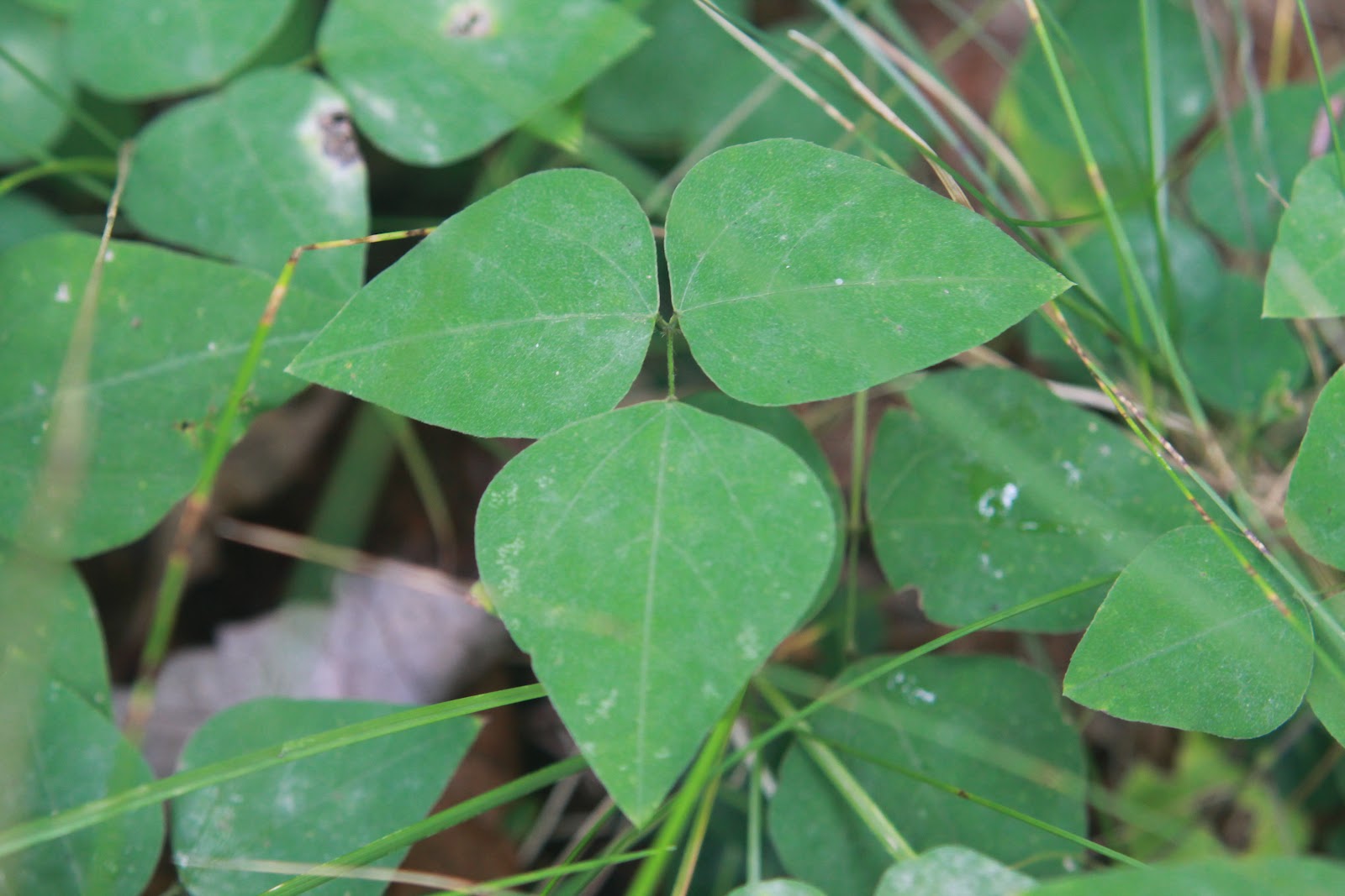 Just a Mom Outside: Love at First Taste