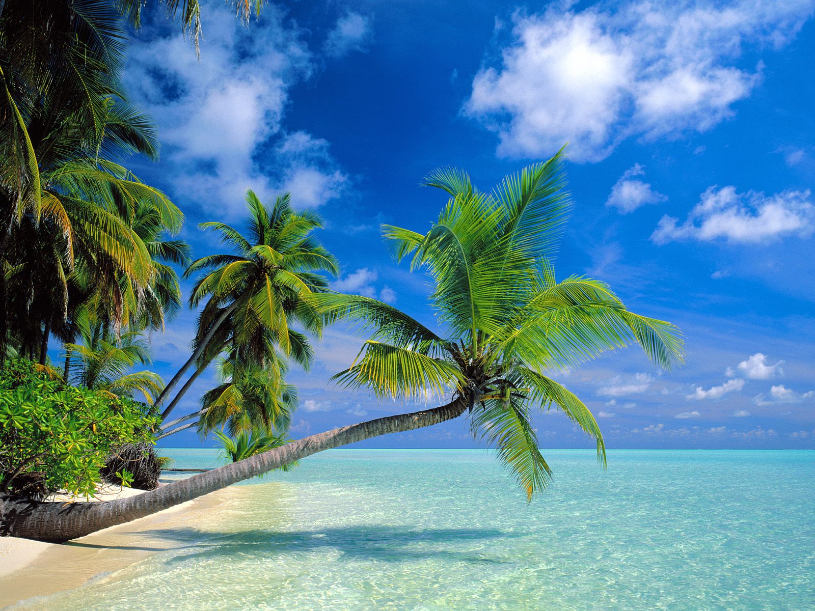 Amazing Beaches Wallpapers 1600x1200 Hd Wallpapers HD images ~ HD ...