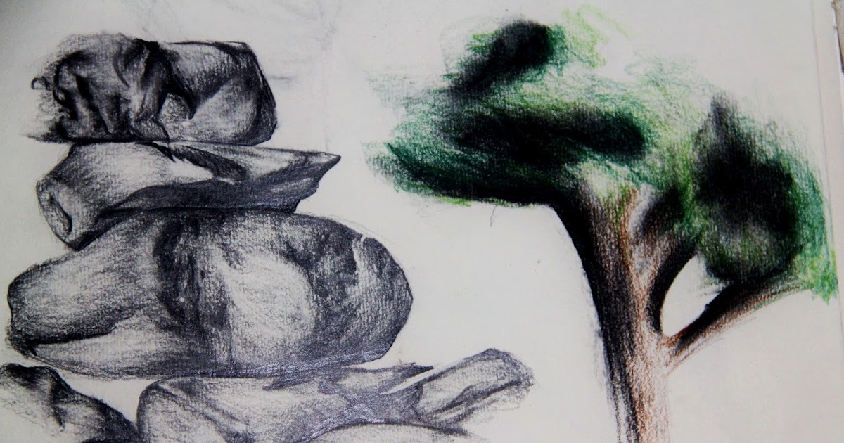 1080929243: Natural Forms: Drawings