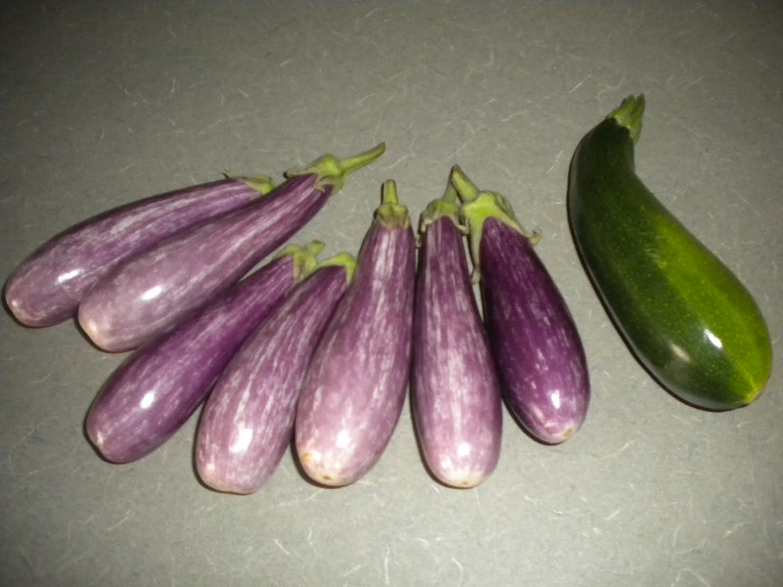 Welcome to My Random Garden: Harvest Monday - August 1, 2011