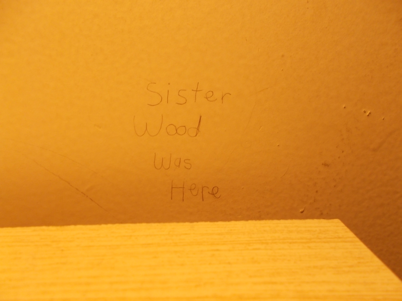 Journey Through Georgia: Below the Gnat Line