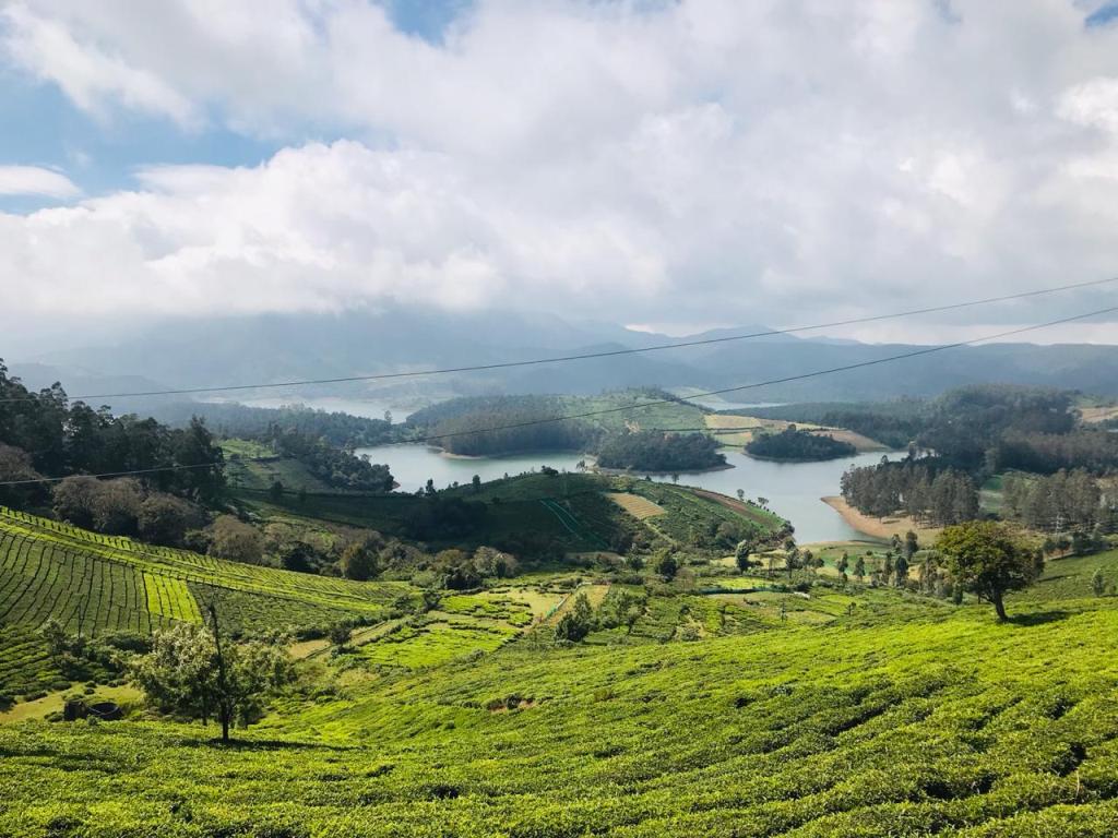 Tamilnadu Tourism: Avalanche Lake, Ooty, Nilgiris