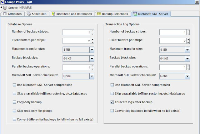 Remote Infrastructure Management: MS SQL SERVER Backup and Recovery using NetBackup