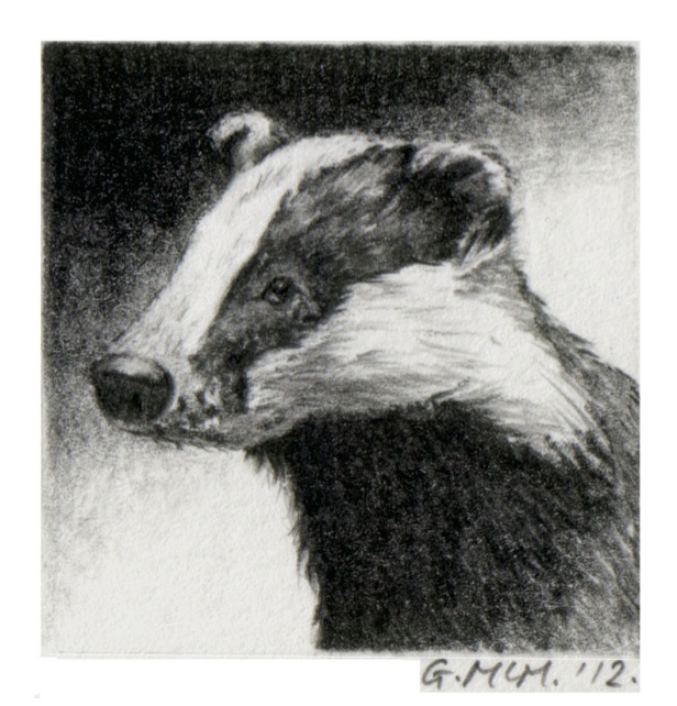 Gillian McMurray: Artist & Craftsperson: Mini drawings