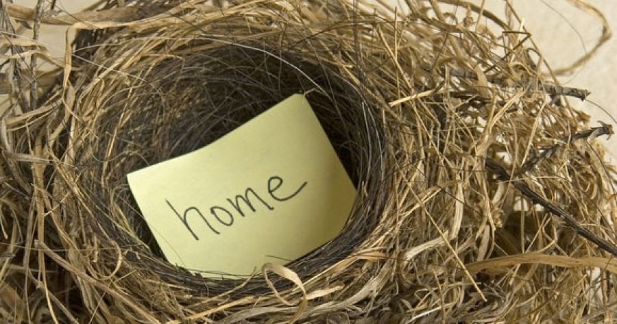 MAFERBA en el MUNDO : Síndrome del NIDO LLENO