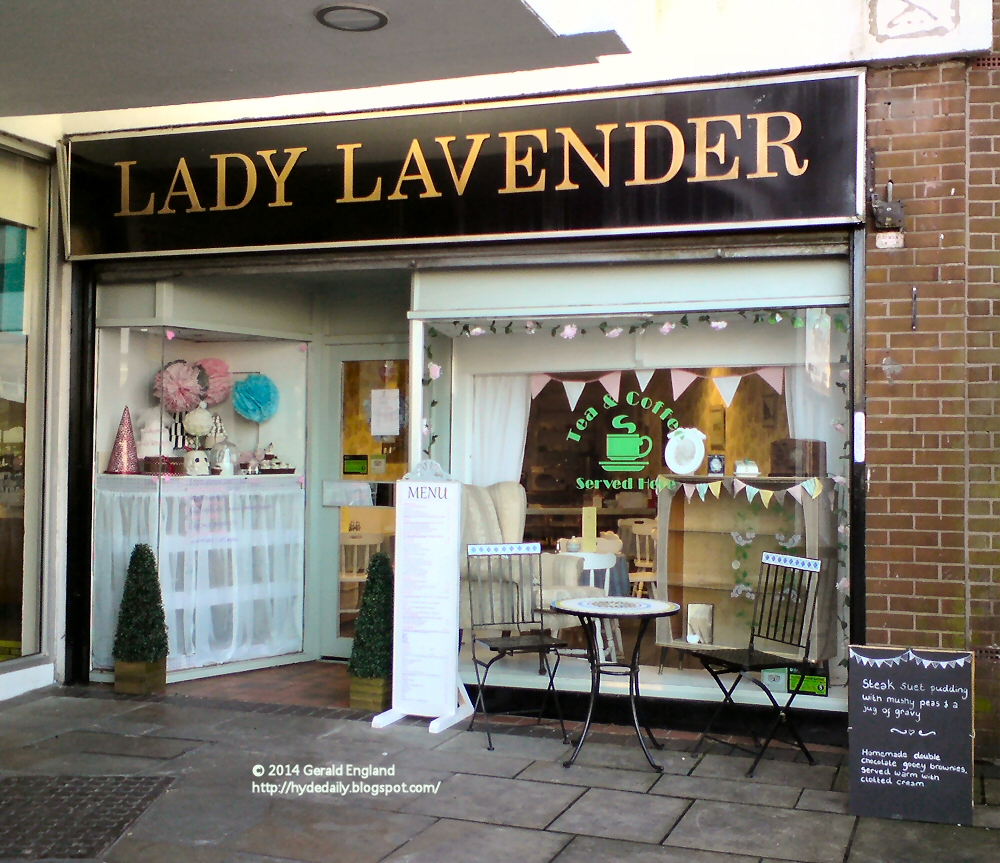 Hyde Daily Photo Volume 2 (2011-2015): Lady Lavender's New Look