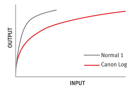 La figure et le fond: Que vaut le Log Canon