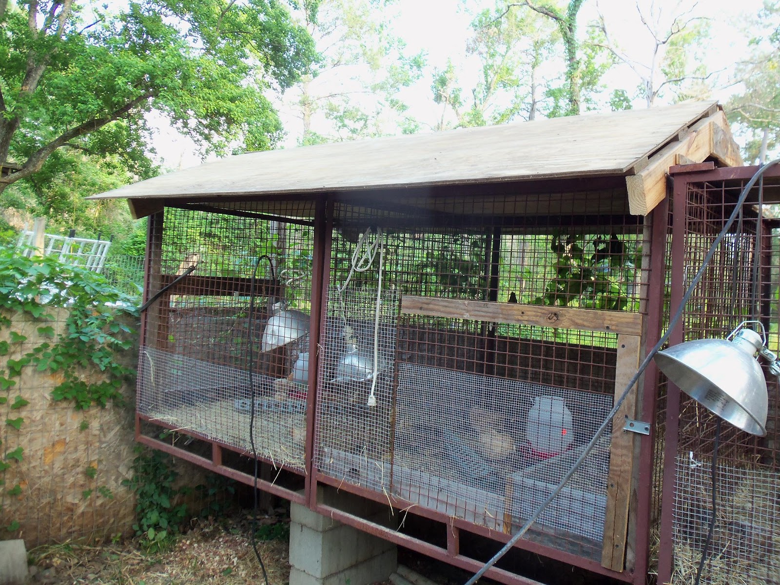 Growth in God: Weekend Projects-Cages