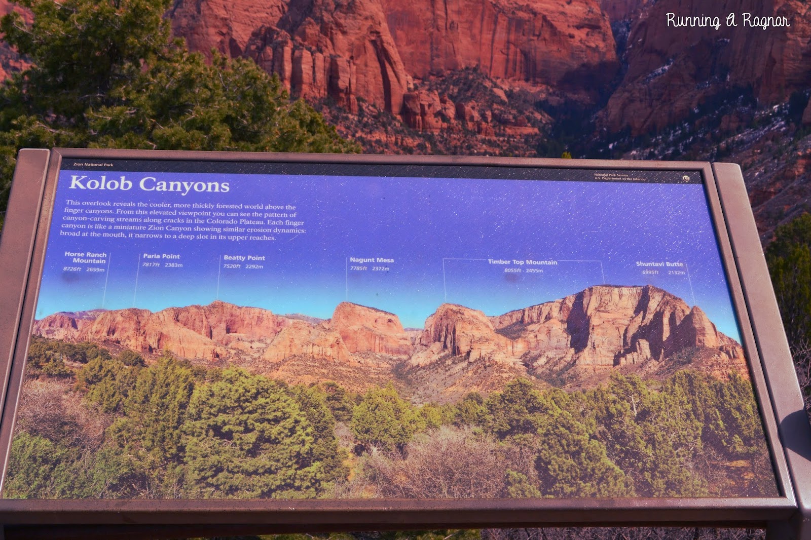 Katie Wanders : Kolob Canyon, Zion National Park
