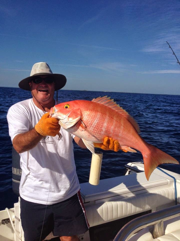 Today in Abaco: Beautiful Silk Snapper