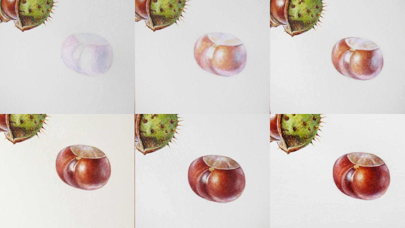 Alexander & Conkers – Shevaun Doherty