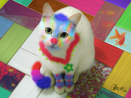 Funny Pics: Colored Cats Nice Pics