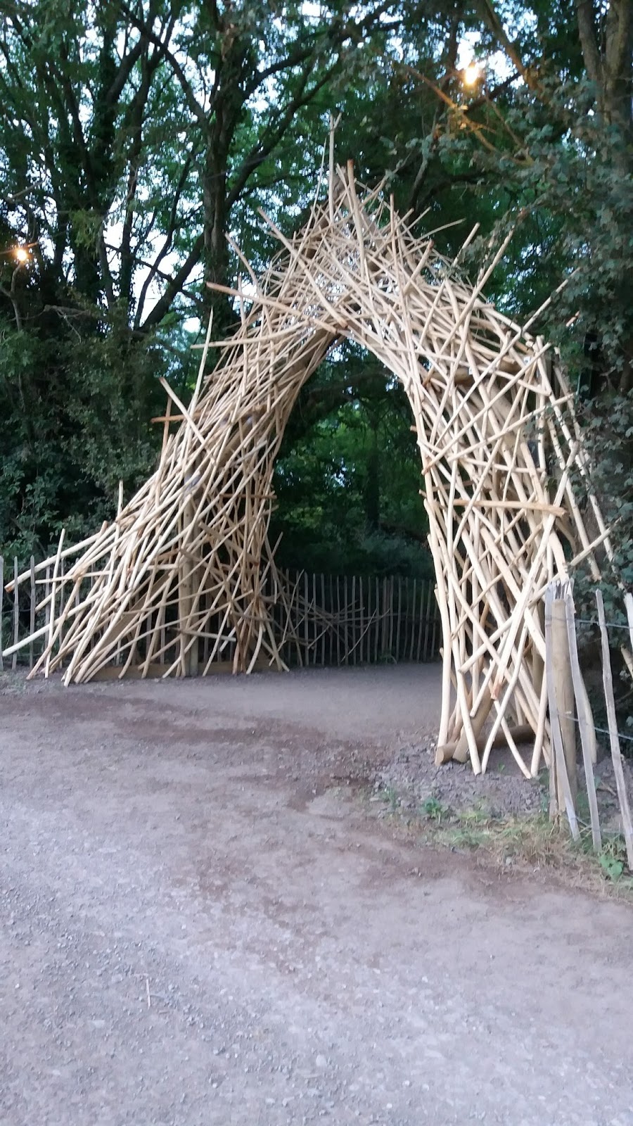 Willow structures