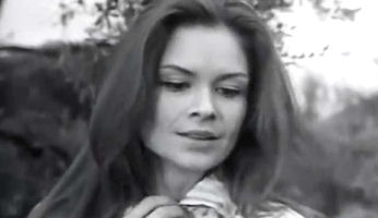 INNER TOOB: CROSSING ZONE: A TRACT ON THE PUPPET PEOPLE (PART FOUR)