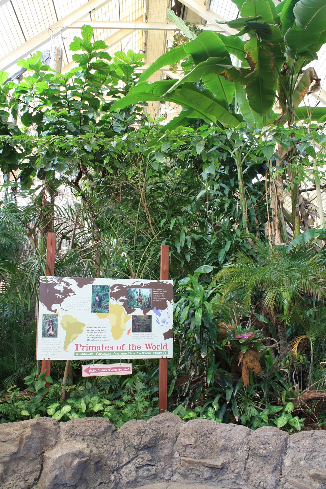 A Little Time and a Keyboard: An Afternoon With the Animals of the ...