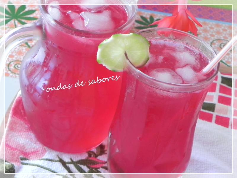 Ondas de Sabores: Pink Lemonade (limonada cor-de-rosa)