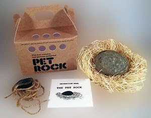 Every Day Is Special: September 11 – Pet Rock Day