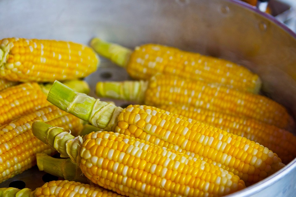 The Happy Nutritionist: GMO Free Organic Corn Health Benefits