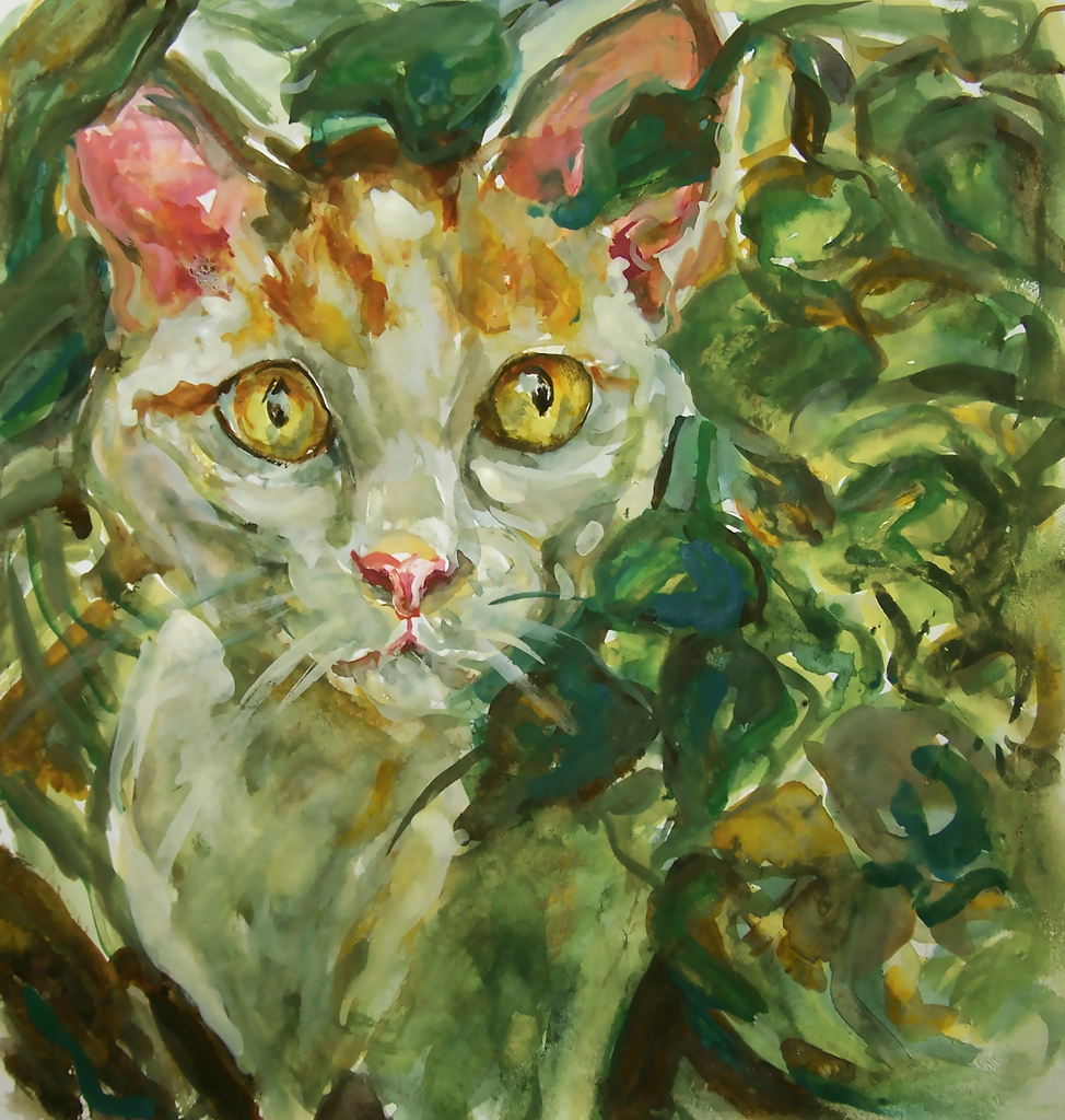 paradis express: Maria O Neill